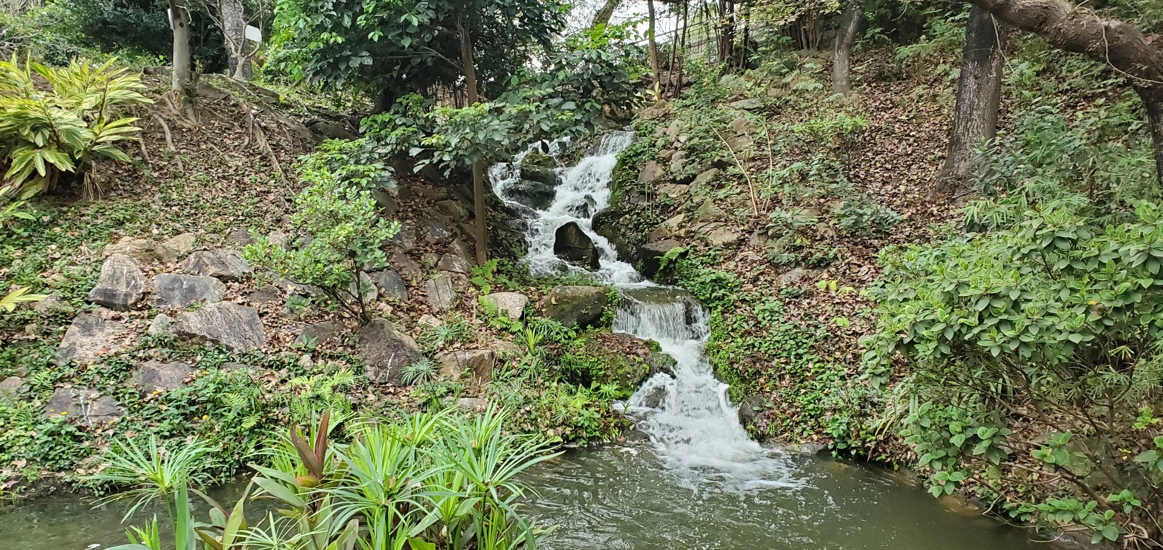 Visiting Yuen Long For the First Time: A Wonderful Day Trip ...